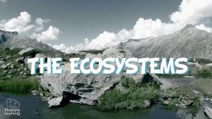 Educational video: Ecosystems for kids | Happy Learning
