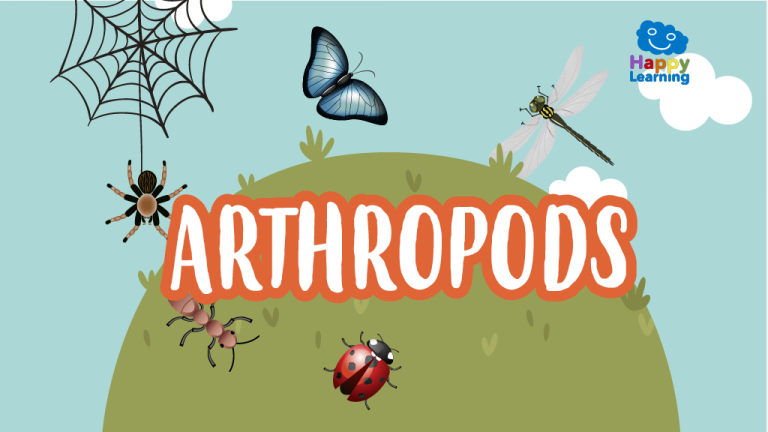 Word Search: The Arthropods - Games for Kids | Happy Learning