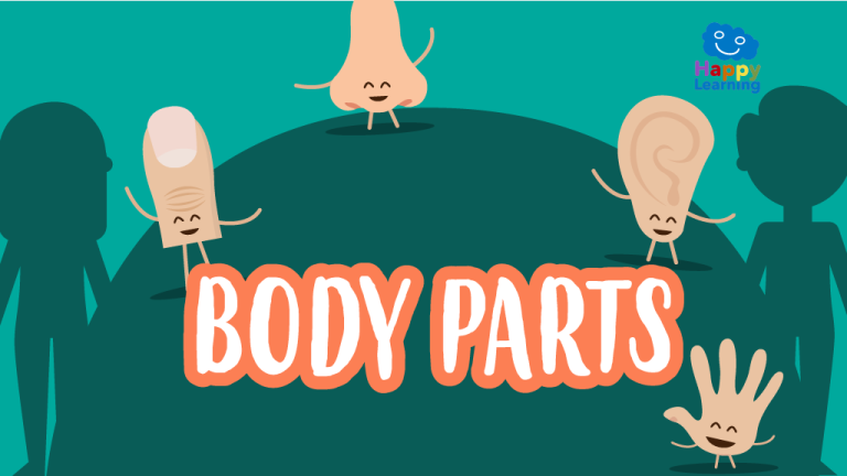 Word Search: The Body Parts - Games for Kids | Happy Learnig